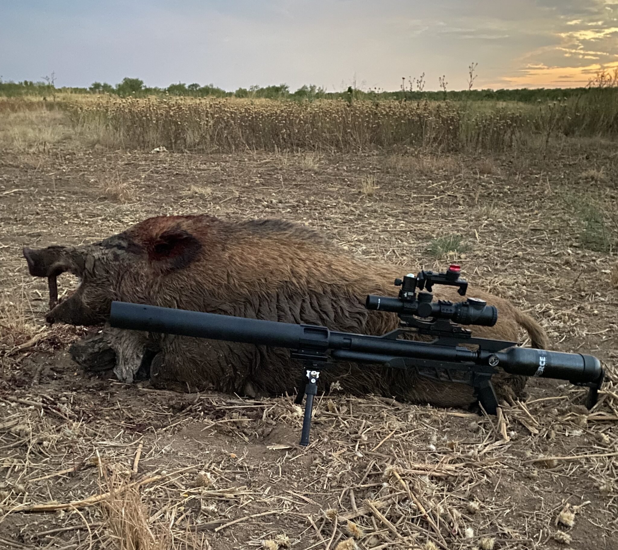 Tex-Rex Series - Airforce Airguns